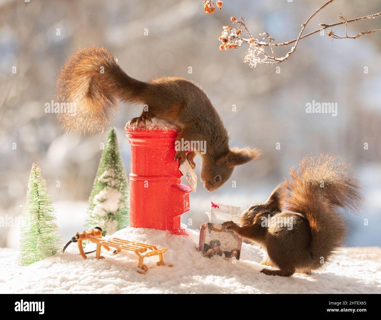 Letter mailbox funny hi-res stock photography and images - Alamy