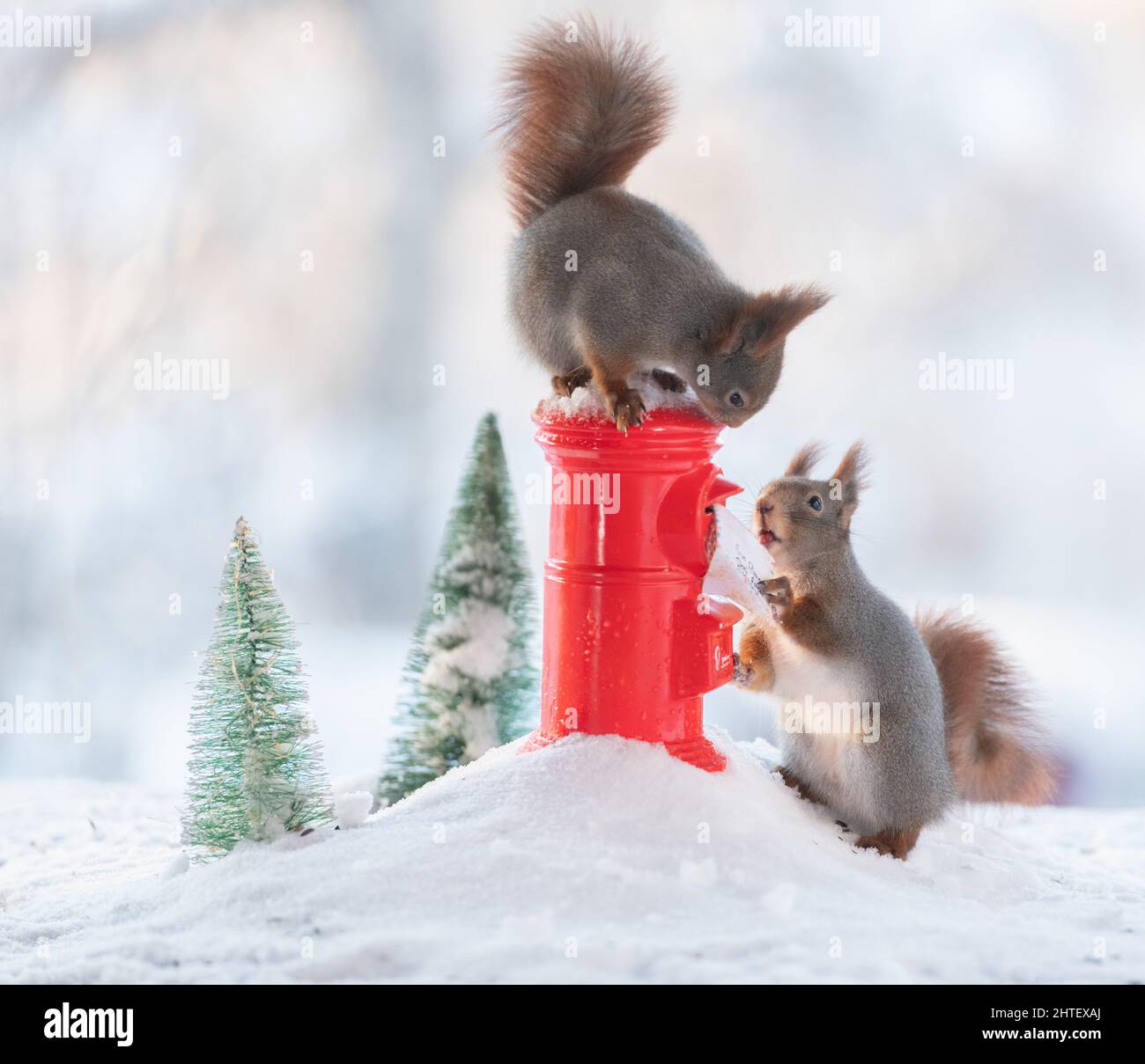 Funny letterbox hi-res stock photography and images - Alamy