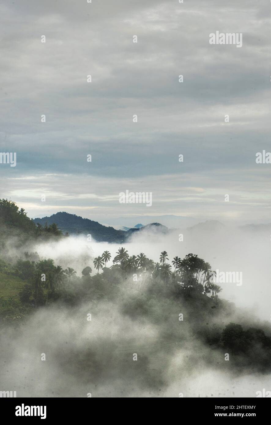 Beautiful morning view at the mountains Stock Photo - Alamy
