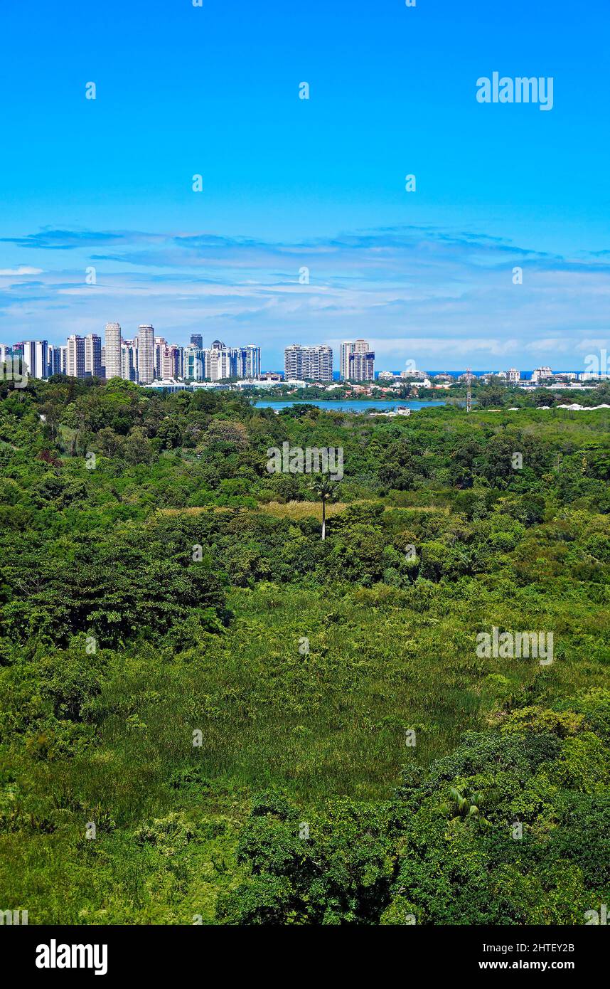 Tijuca forest hi-res stock photography and images - Alamy