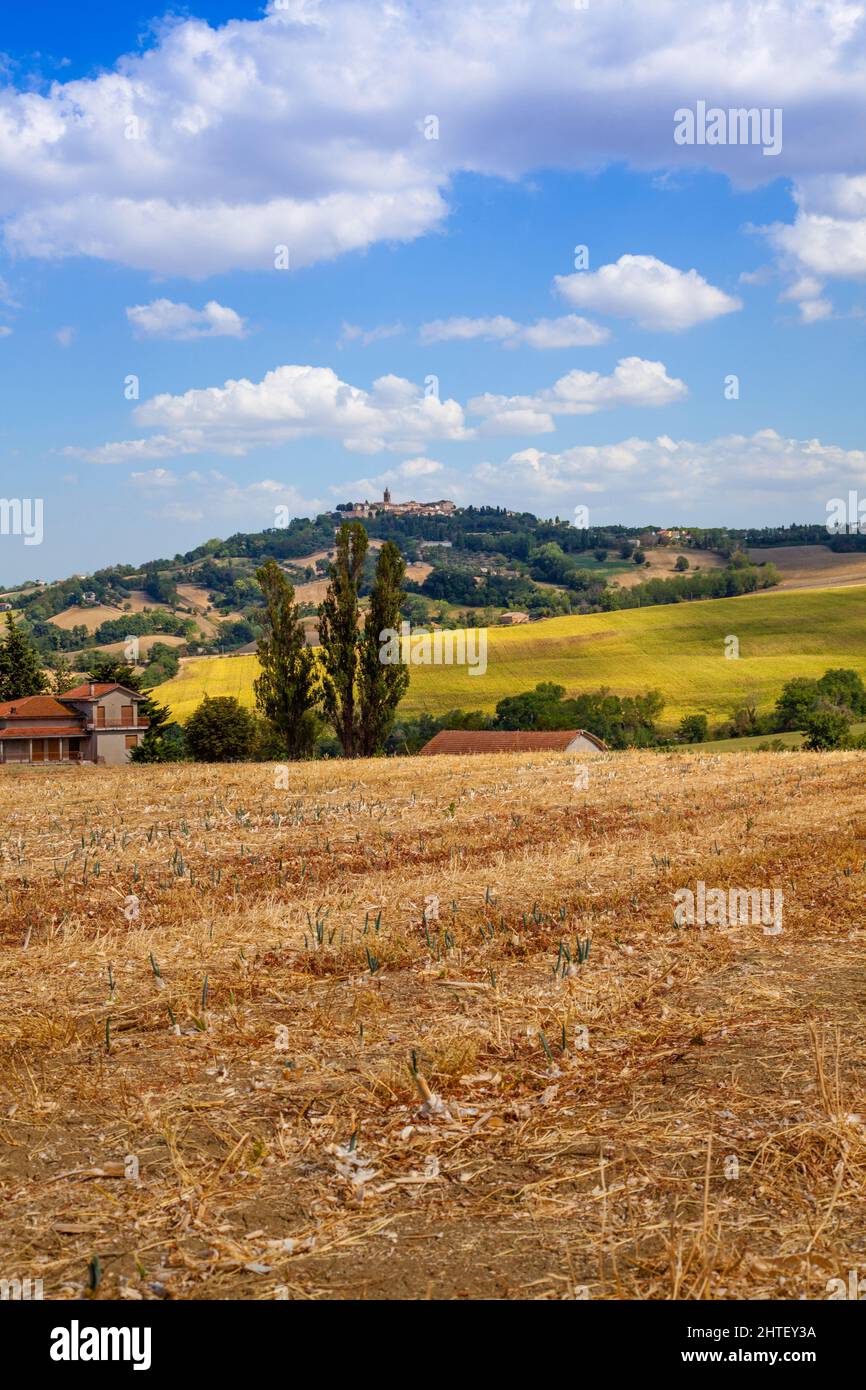 Rural countryside landscape Marche Italy Stock Photo - Alamy