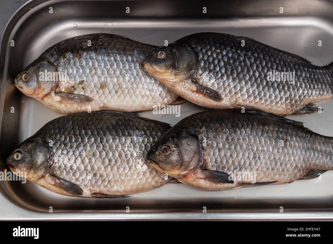 Fresh raw carp fish in the supermarket Stock Photo - Alamy