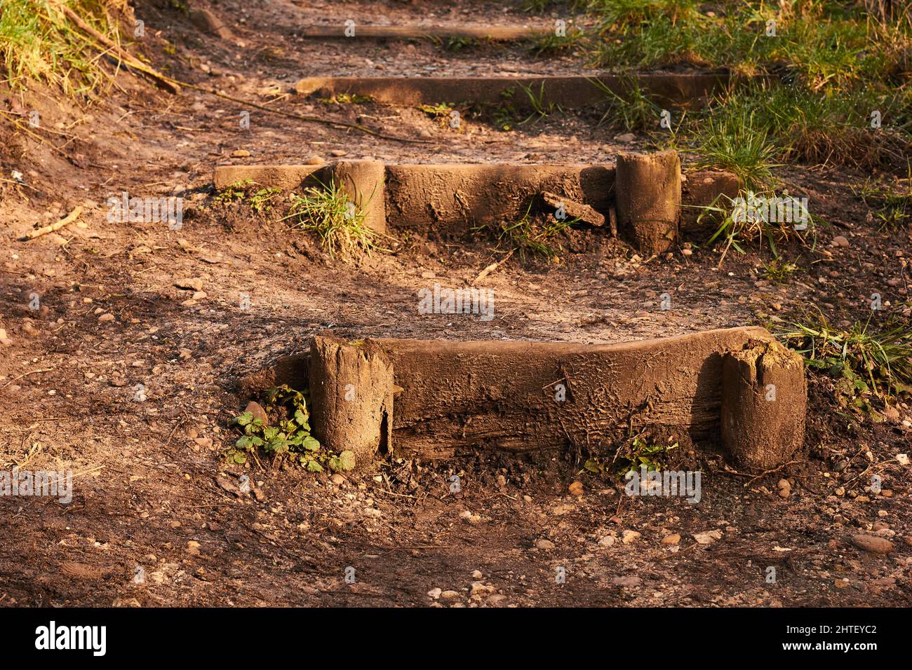 Wooden steps on nature trail hi-res stock photography and images - Alamy