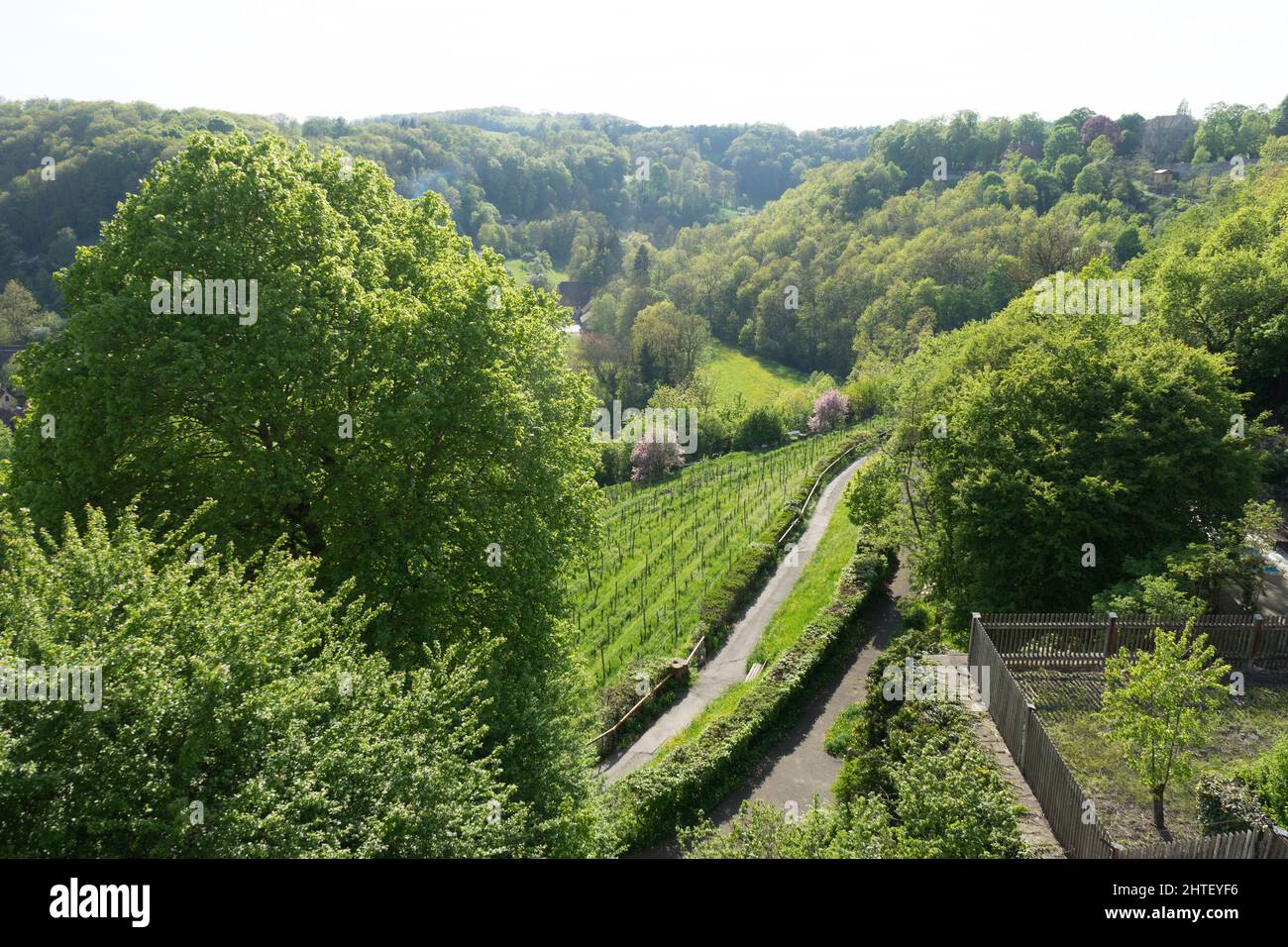 Top view of green landscape Stock Photo - Alamy