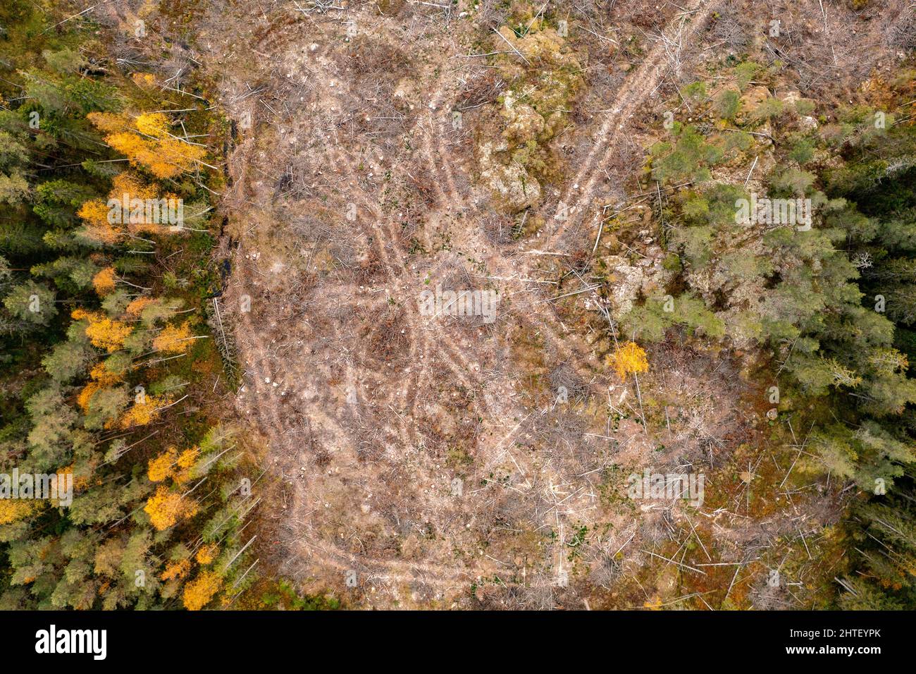 Aerial view of a deforestation area in the autumn Stock Photo - Alamy