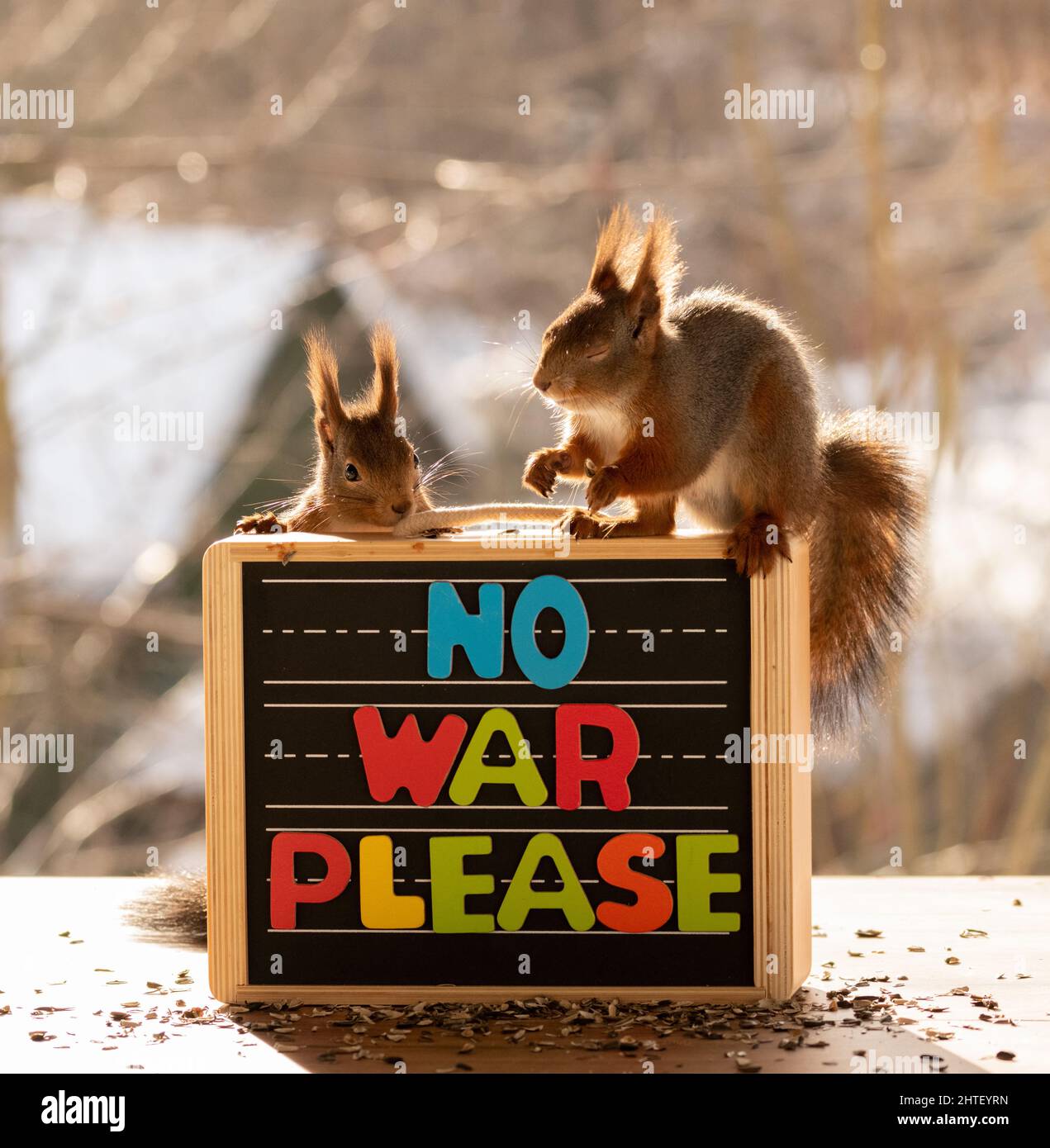 No war please hi-res stock photography and images - Alamy