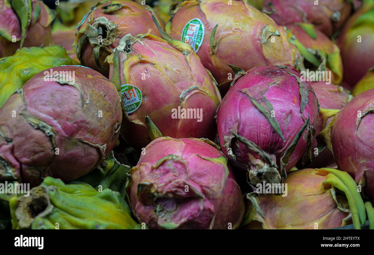 Close up shot of the Dragon fruit in assorted colors with tickets on it ...