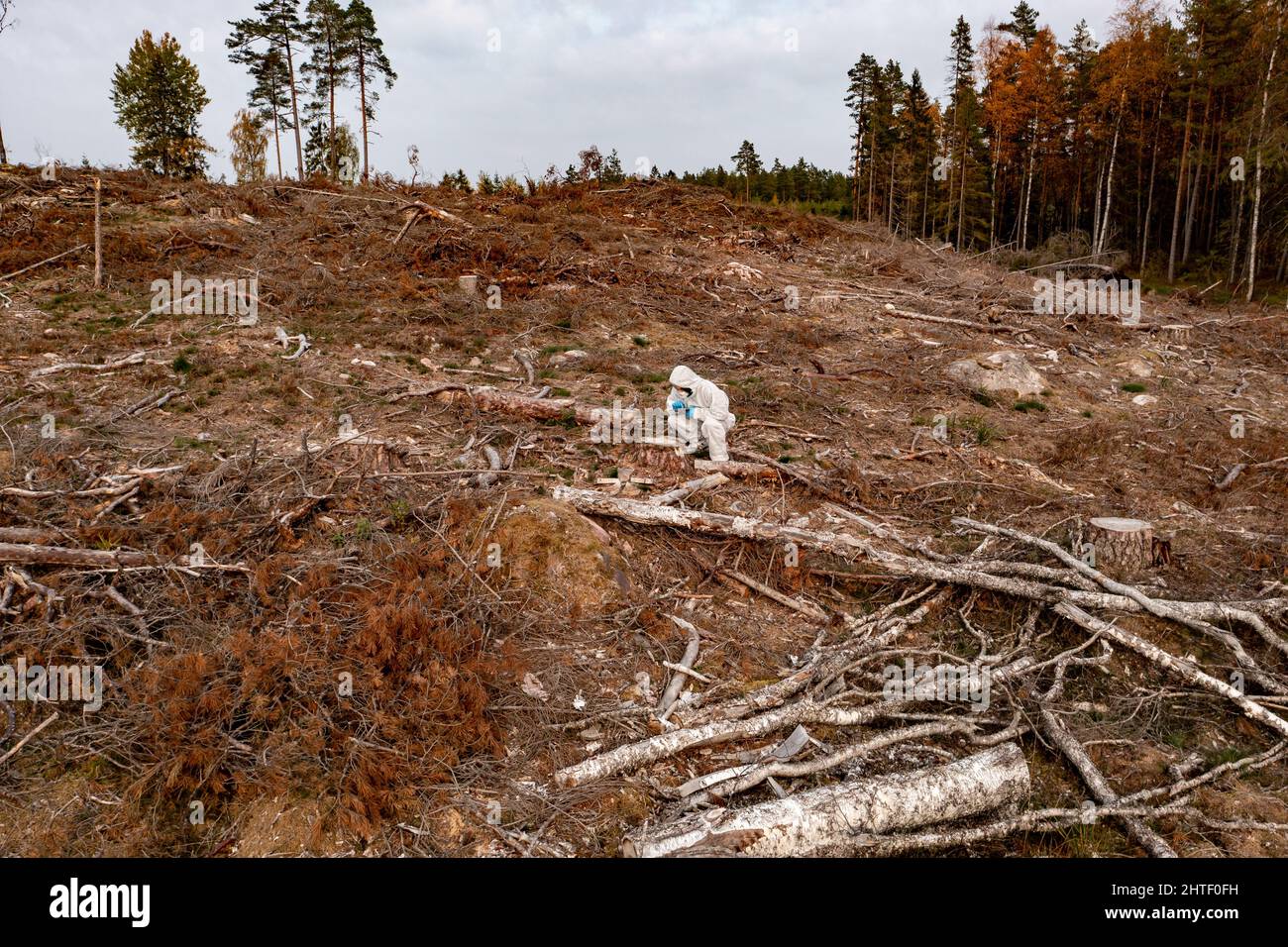 biologist doing pest and insect control on a logging area 01 Stock ...