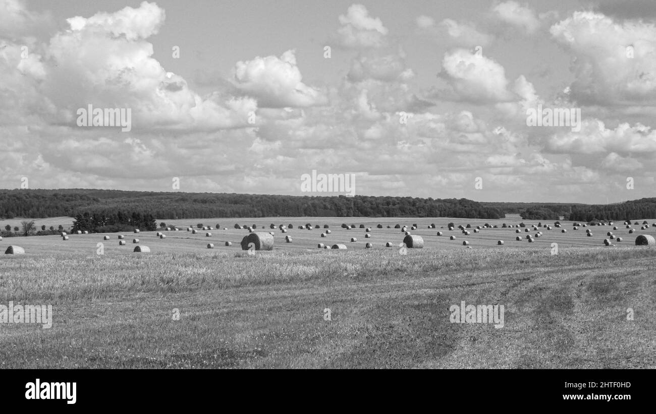 Open hay field Black and White Stock Photos & Images - Alamy