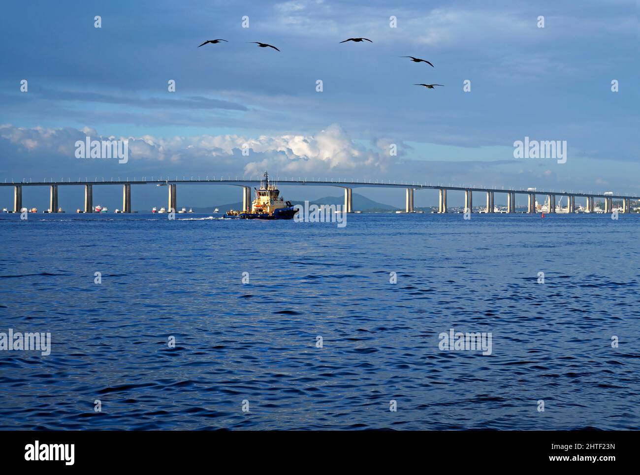 Rio de janeiro bridge hi-res stock photography and images - Alamy