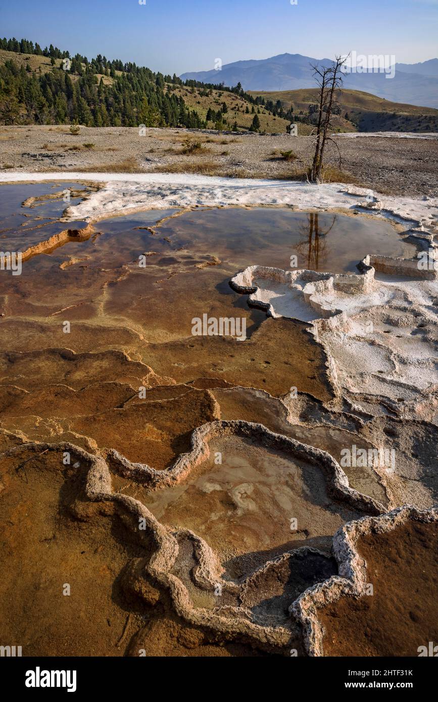 Formations at Mammoth Hot Springs in Yellowstone National Park Stock ...