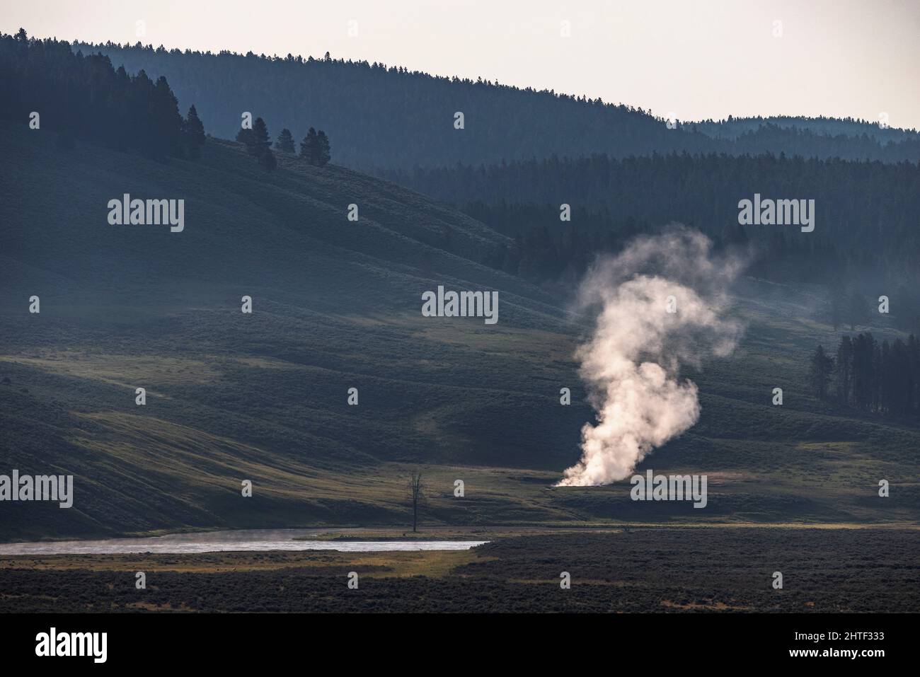 Geyser steam rises above the Hayden Valley in Yellowstone Park Stock ...