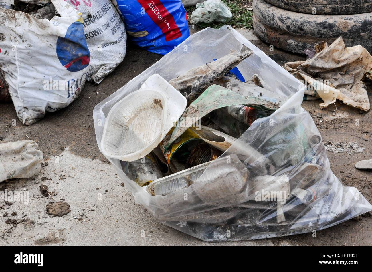 Garbage extracted from the Parana river removed during a river cleanup ...