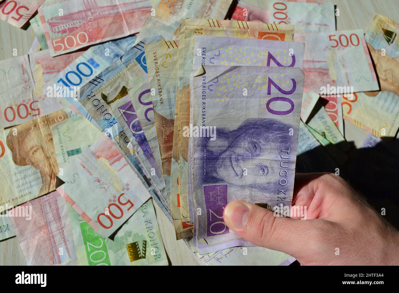 Top view of a hand holding Swedish currency banknotes with many in the ...