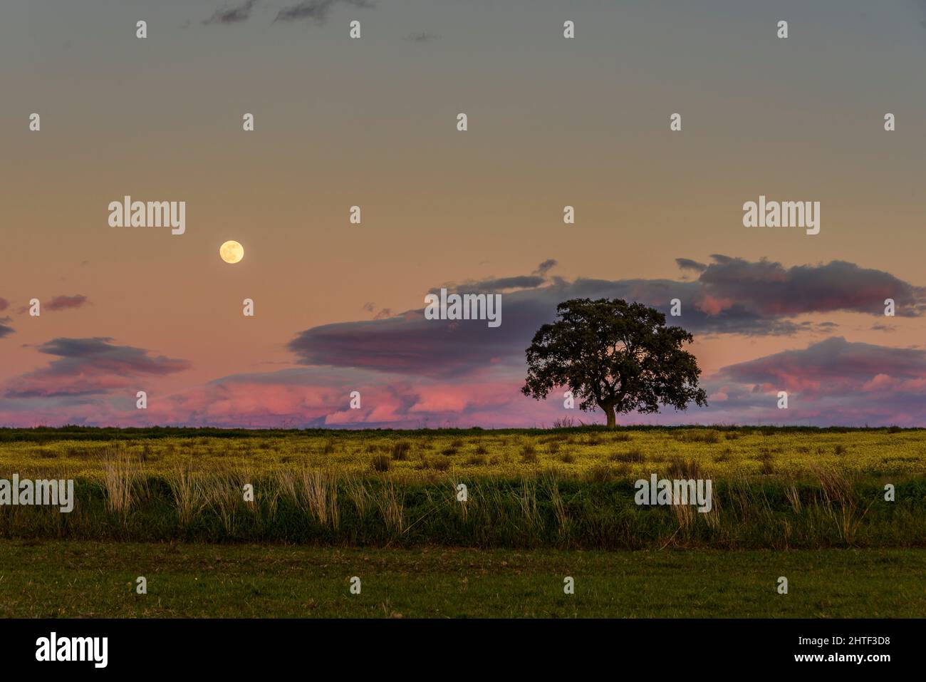 Full moonrise hi-res stock photography and images - Alamy