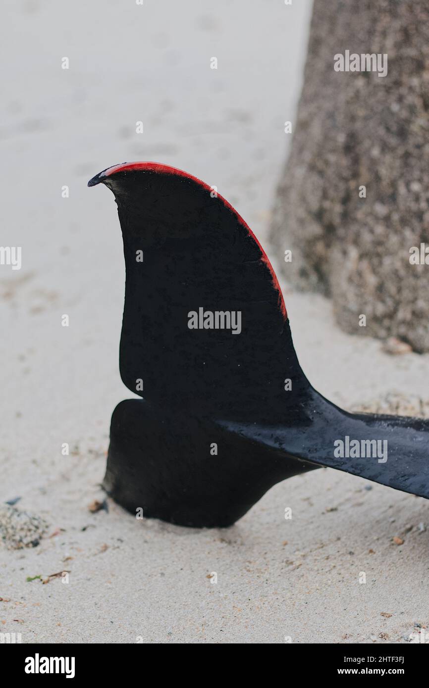 Tail on the ground hi-res stock photography and images - Alamy