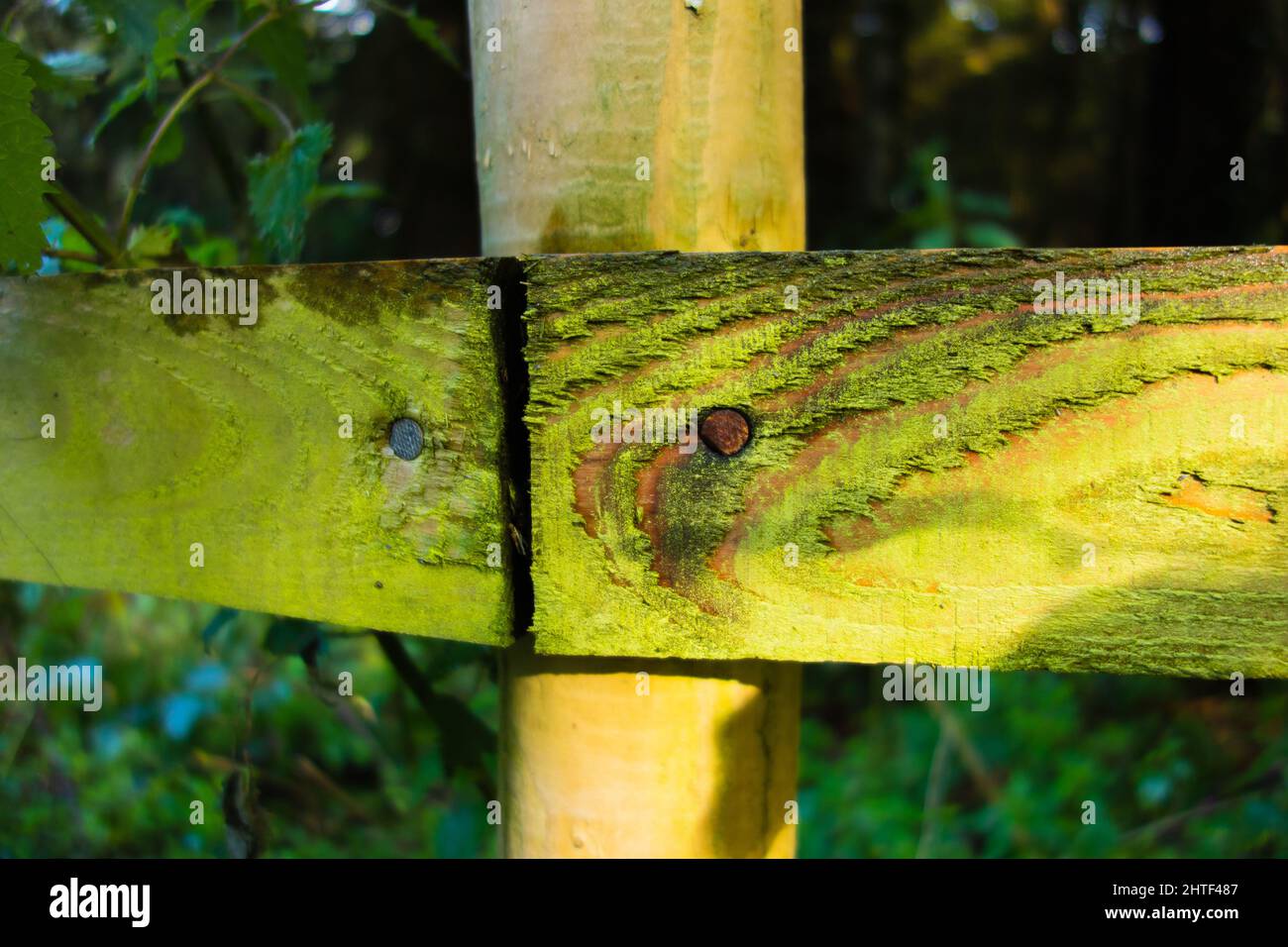 angled wooden fence post and rail with rusty nail Stock Photo - Alamy