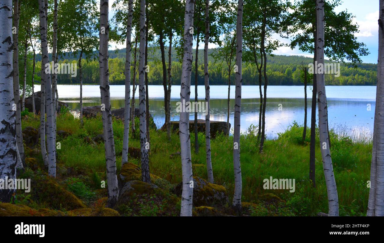 Swedish beautiful hi-res stock photography and images - Alamy