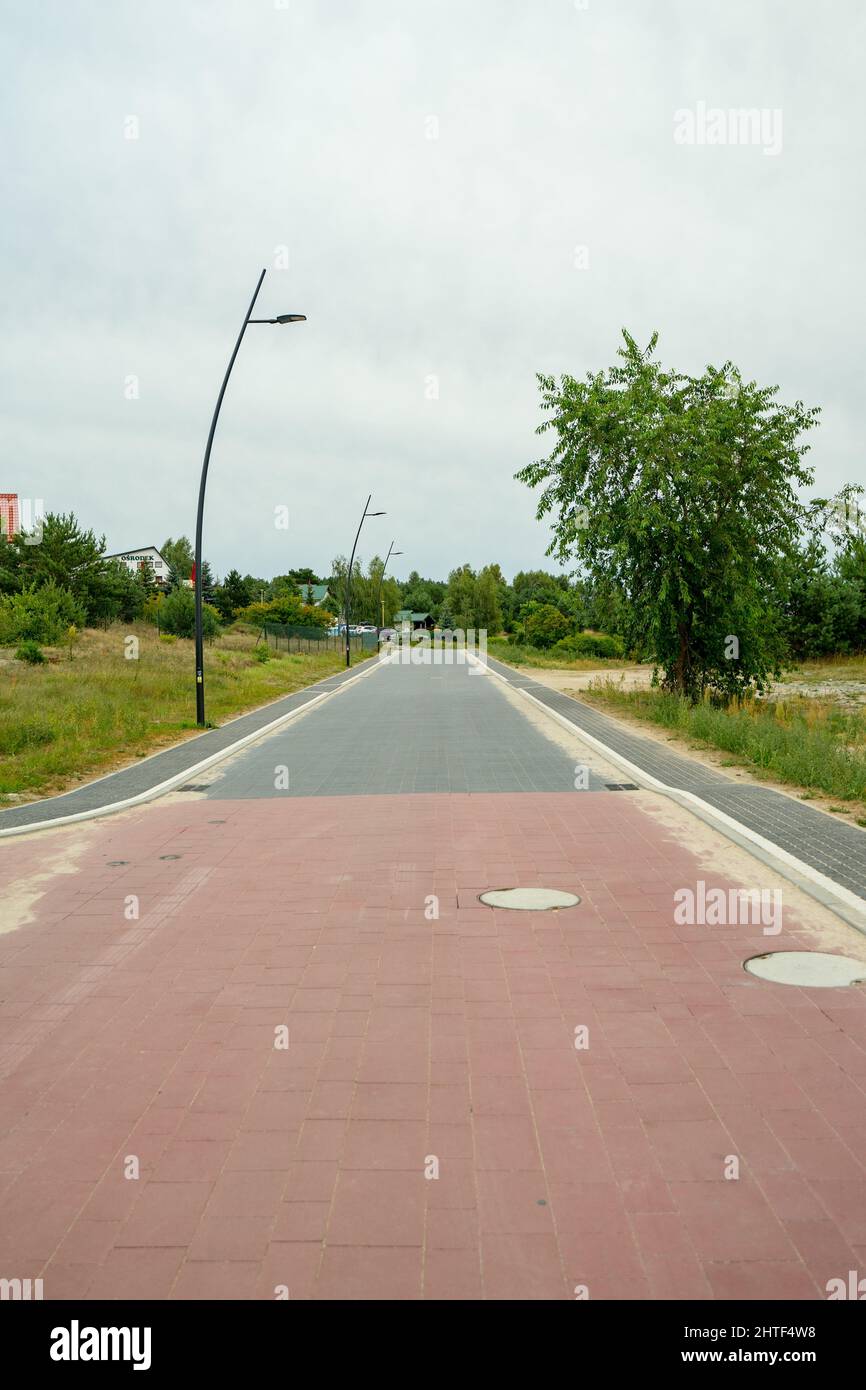 Beautiful view of an empty road with trees leading to the beach in ...