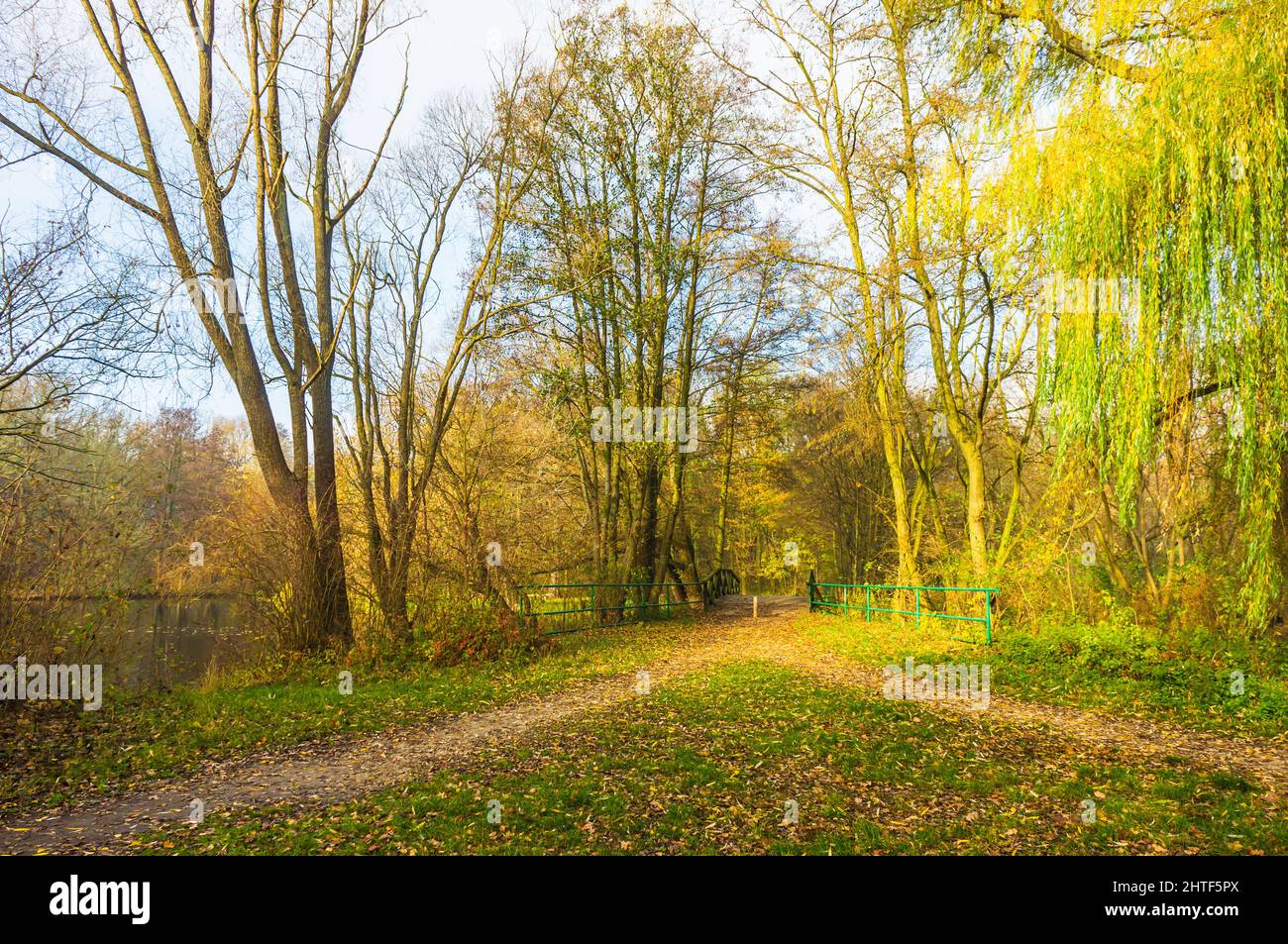 Debinski hi-res stock photography and images - Alamy