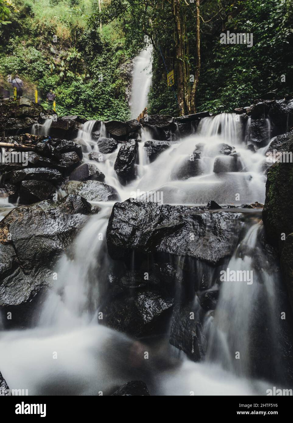 Water cascade in a tropical jungle Stock Photo - Alamy