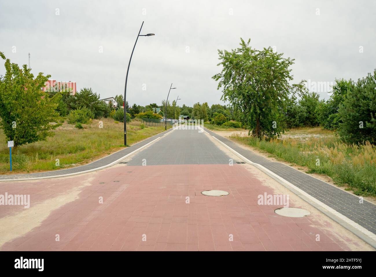 Beautiful view of an empty road with trees leading to the beach in ...