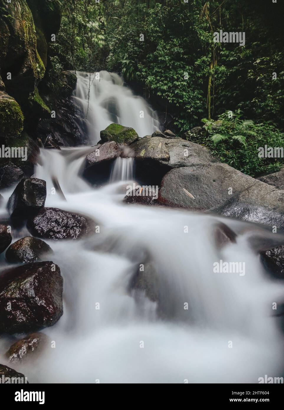 Water cascade in a tropical jungle Stock Photo - Alamy