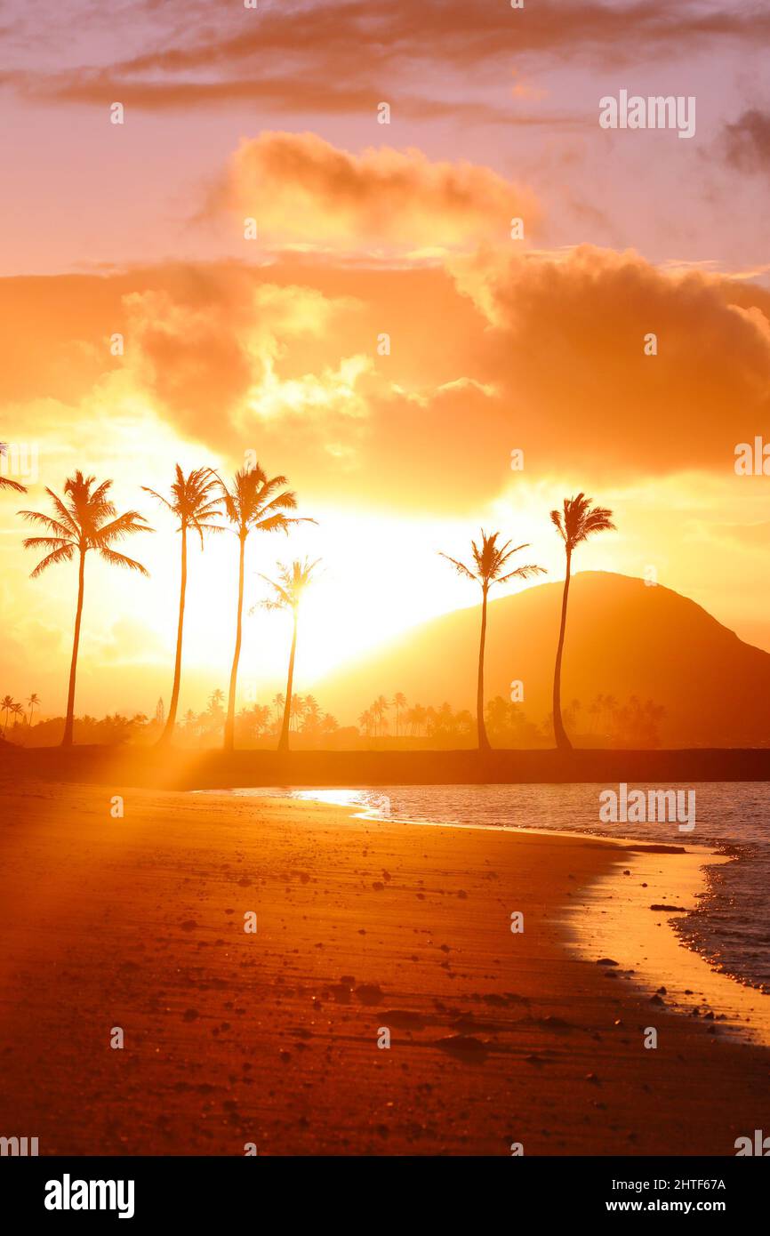 Hawaii Sunrise Wallpaper