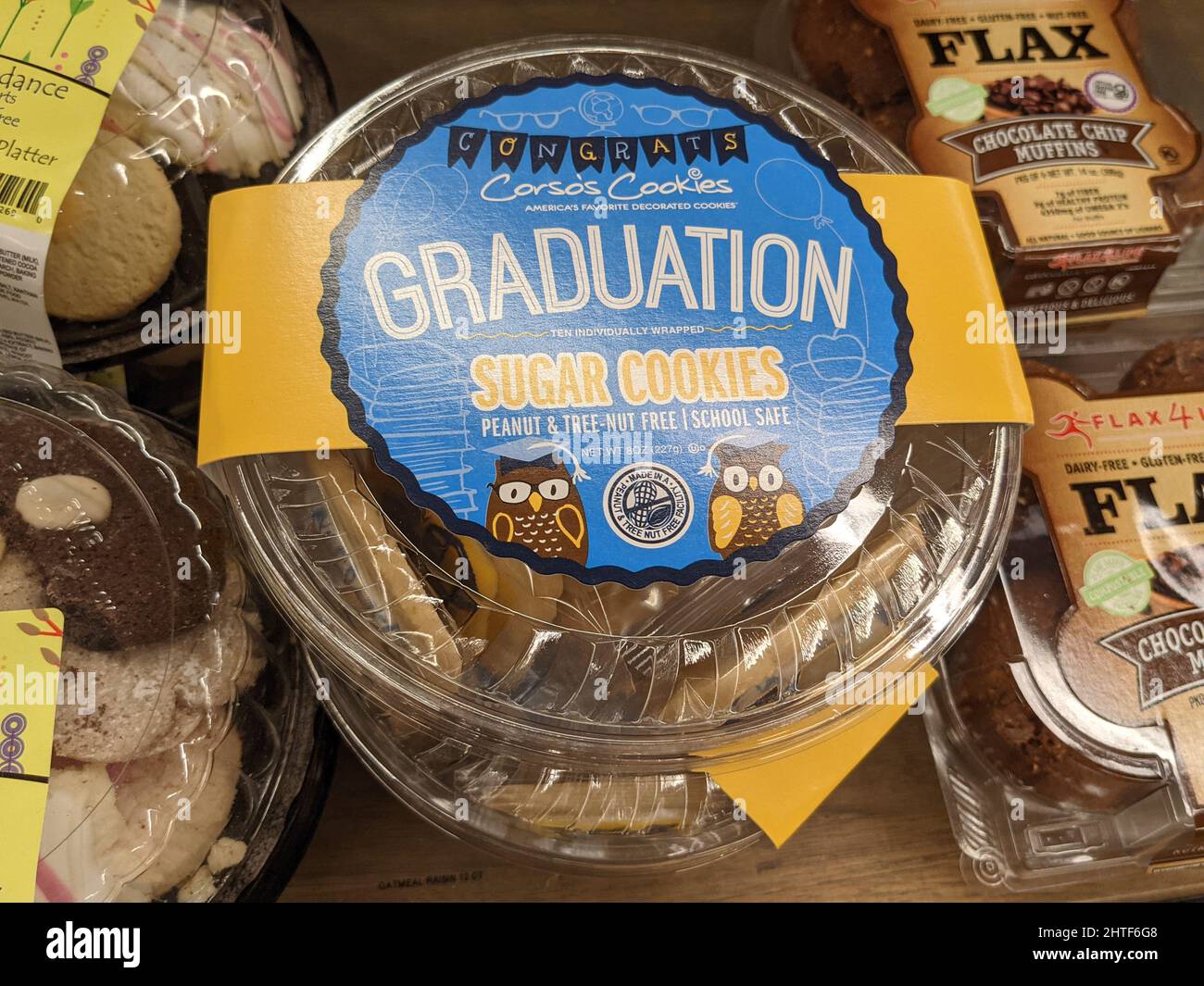 Graduation sugar cookies in a plastic container Stock Photo - Alamy