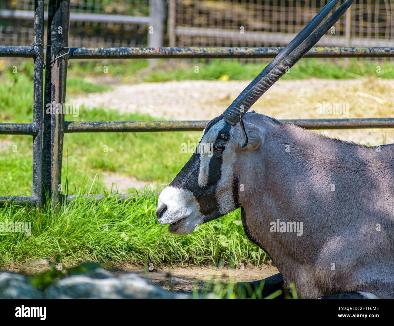 Model poses in grass hi-res stock photography and images - Alamy