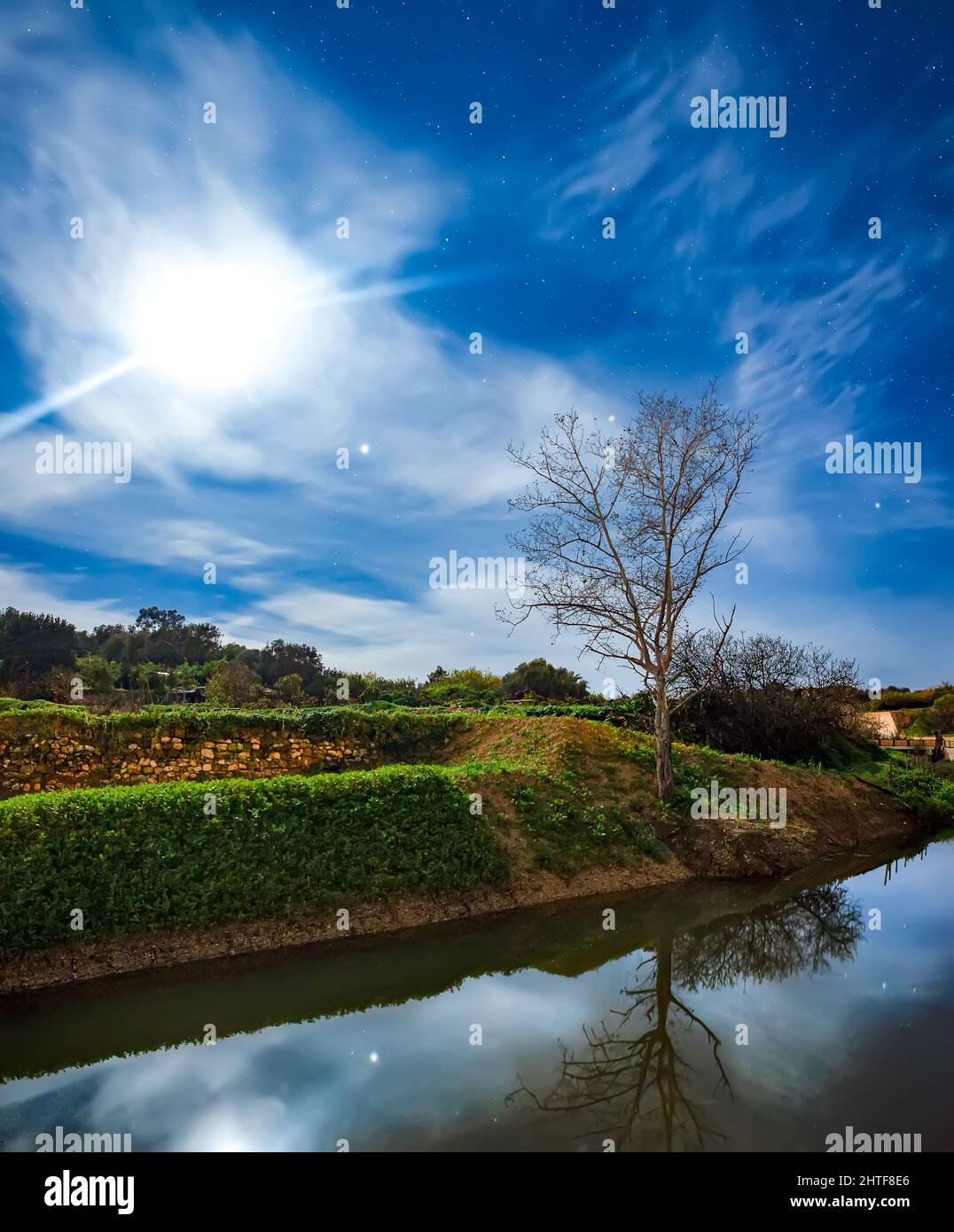 Nook of tree hi-res stock photography and images - Alamy