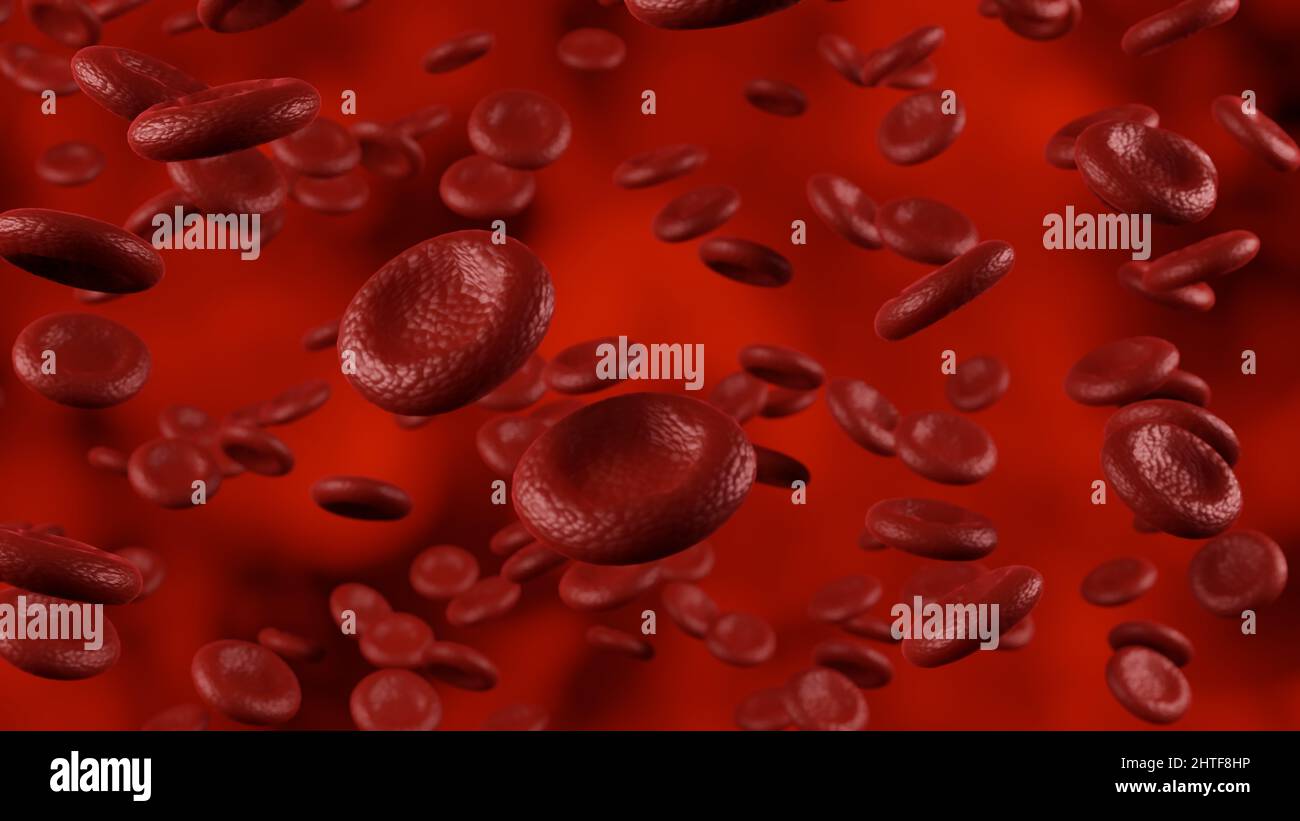 red blood cells in vein Stock Photo - Alamy