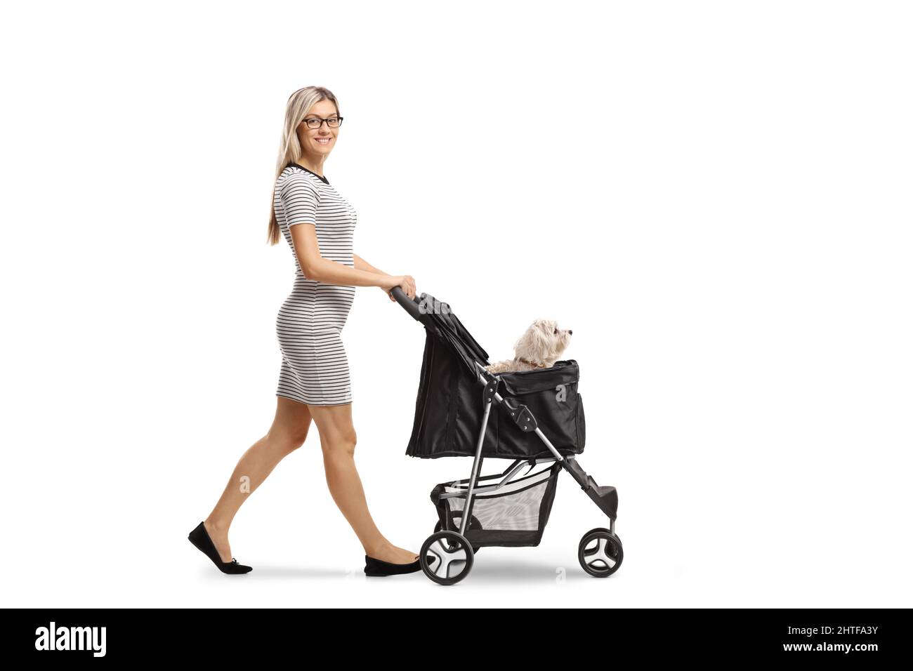 Young woman pushing a dog stroller with a white maltese poodle isolated ...