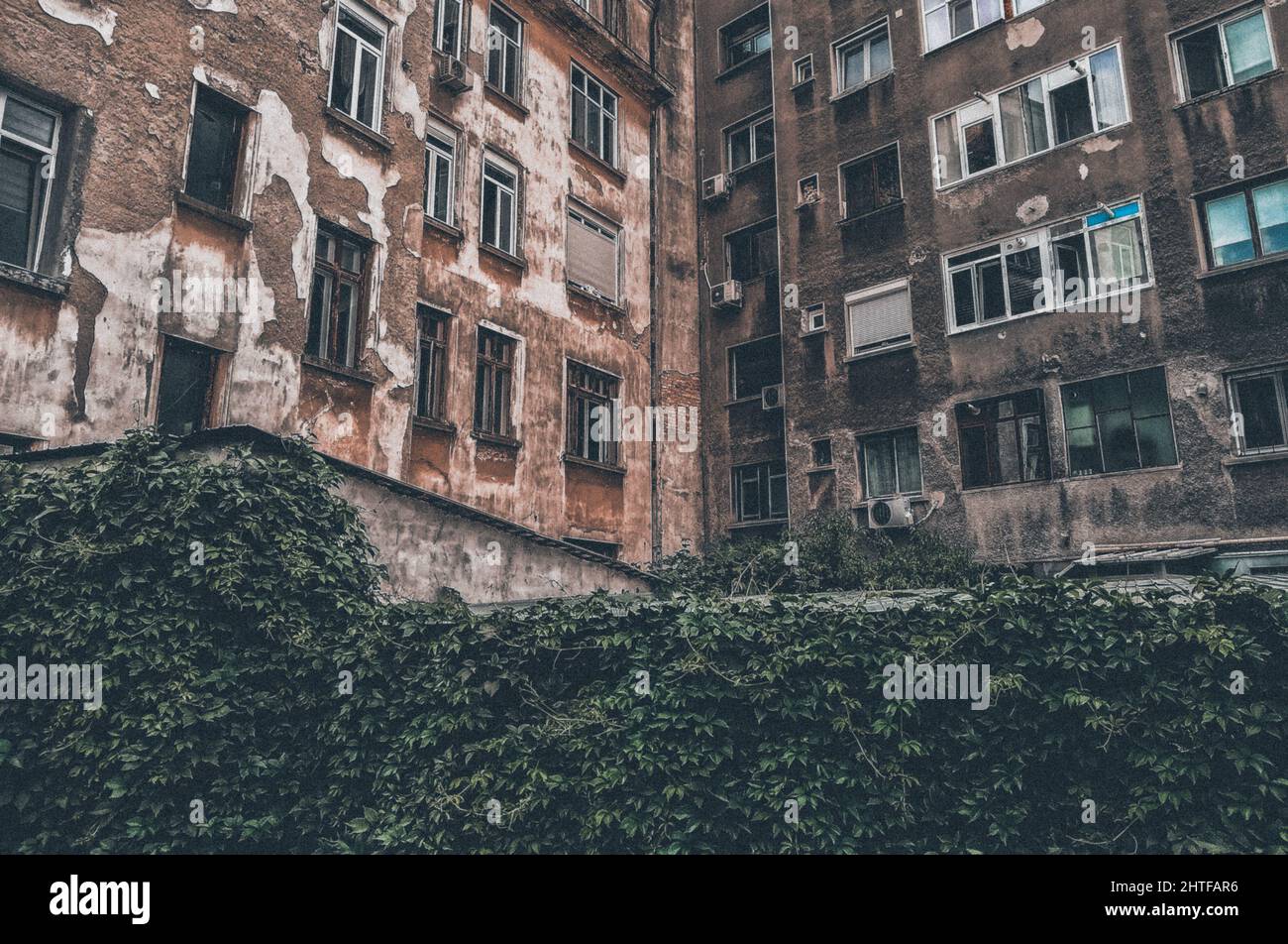 Scenery of an old building and construction covered in a green plant in ...