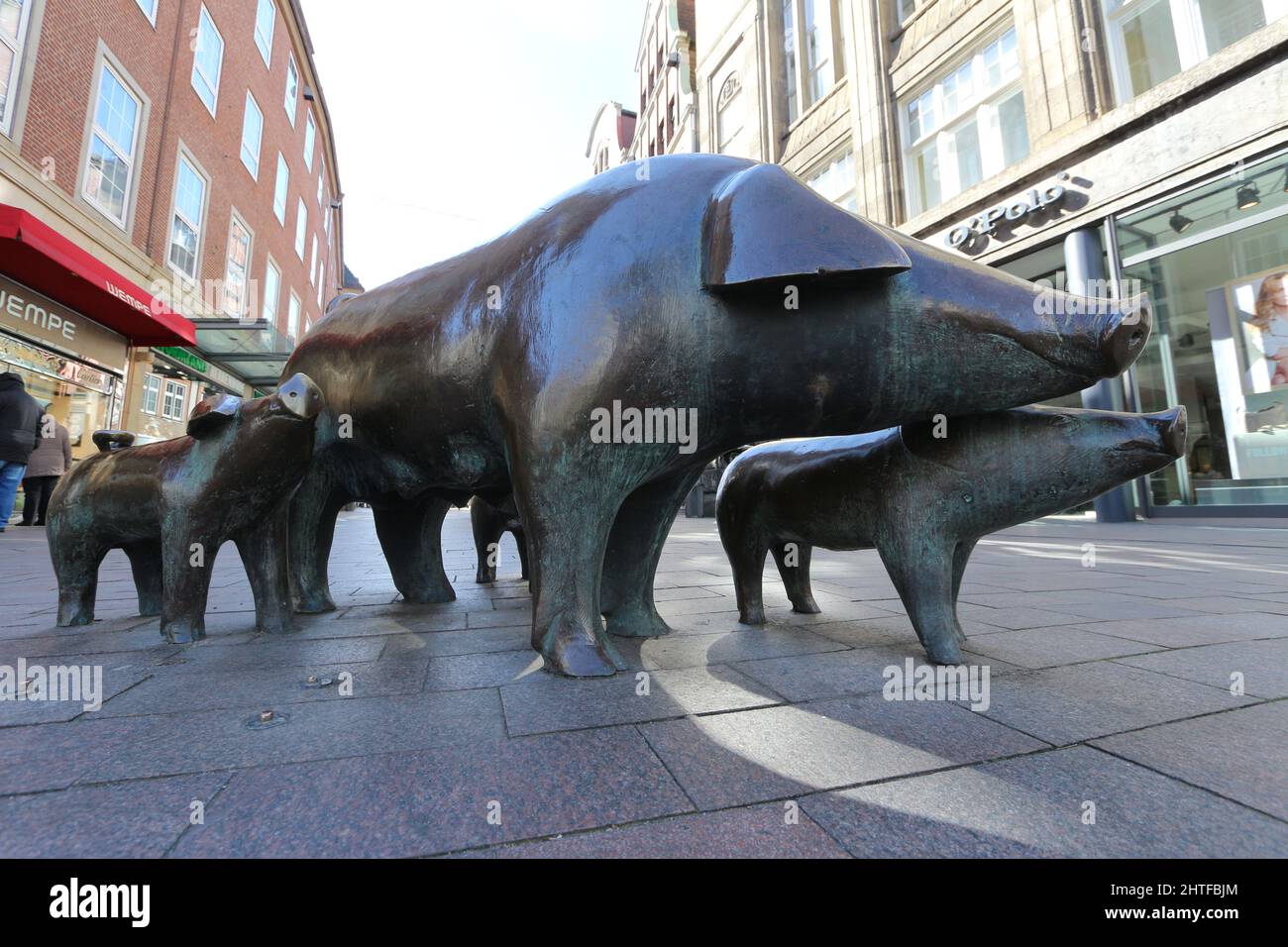 Pigs' statue on the main street in Bremen, Germany Stock Photo - Alamy