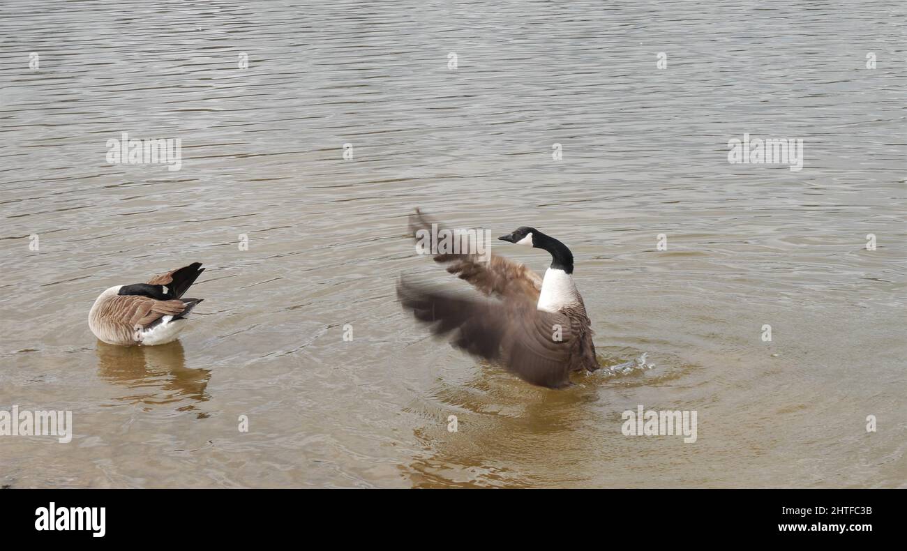 Haysden Country Park, Tonbridge Kent Stock Photo - Alamy