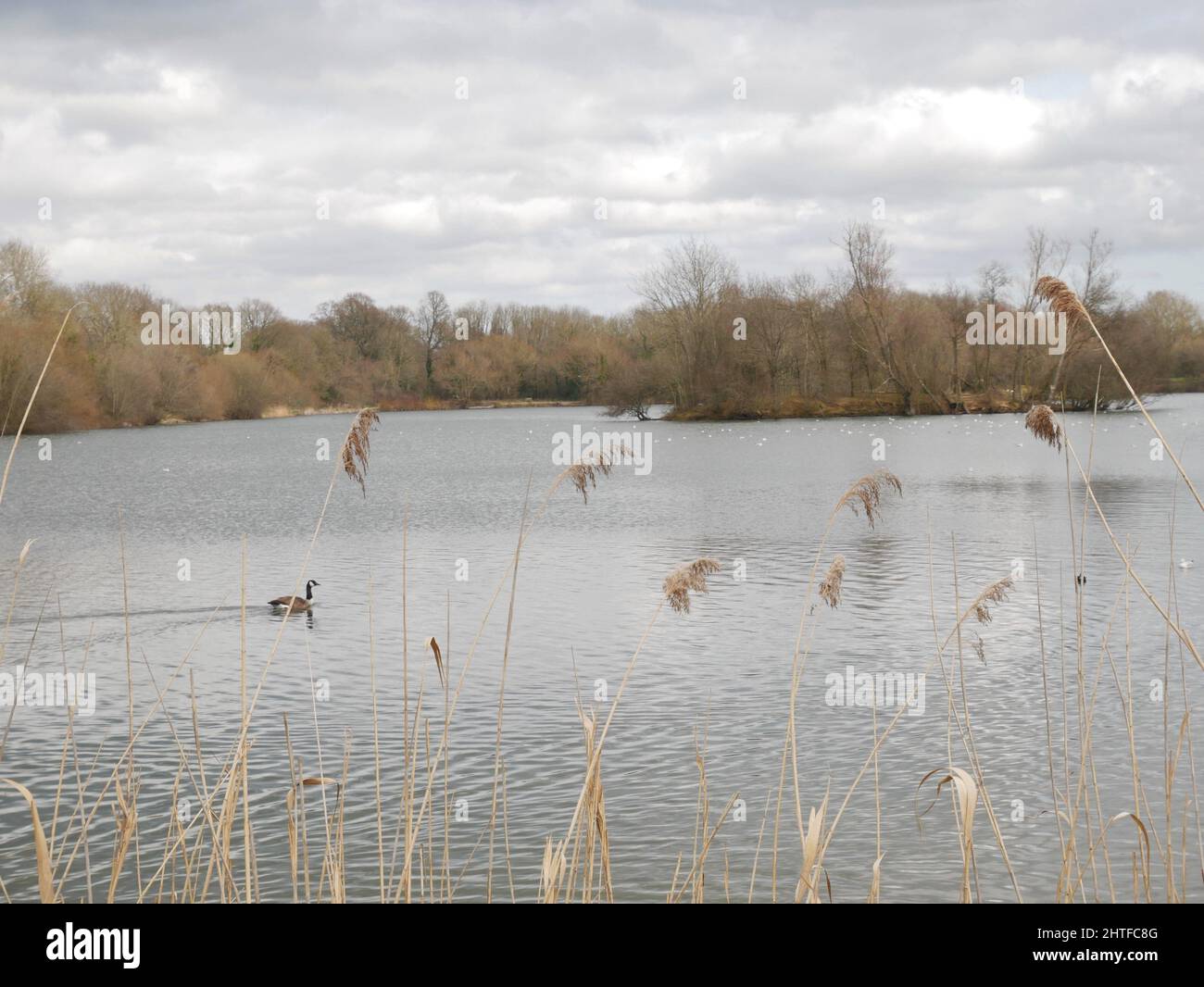 Haysden Country Park, Tonbridge Kent Stock Photo - Alamy