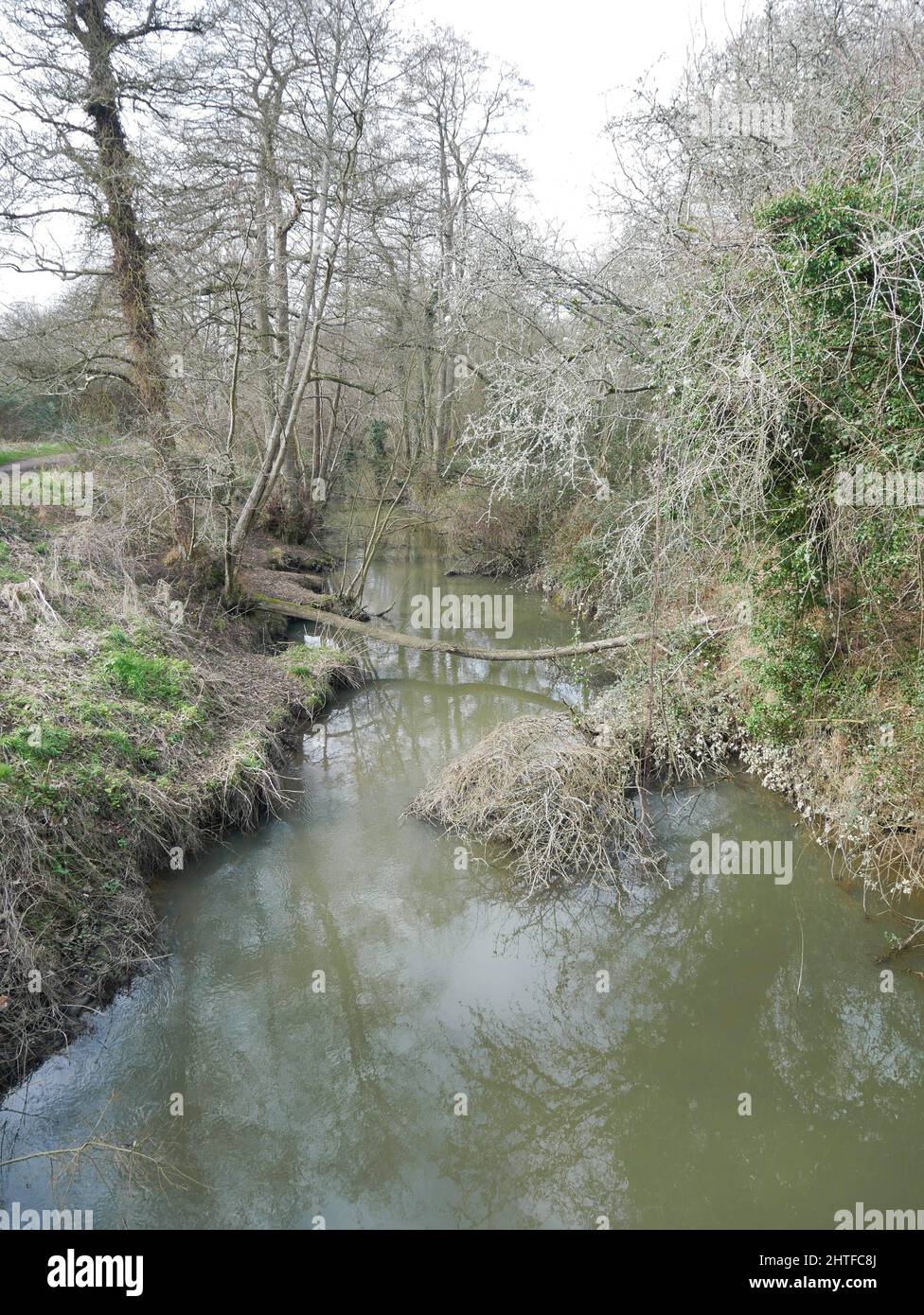 Haysden Country Park, Tonbridge Kent Stock Photo - Alamy
