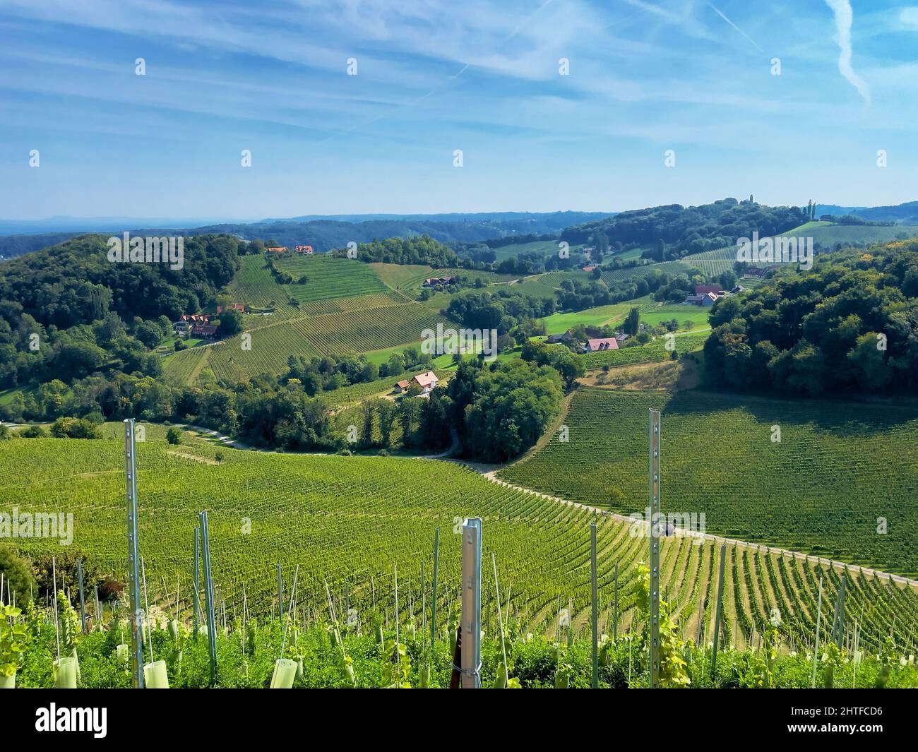 Vineyards sudost steiermark hi-res stock photography and images - Alamy