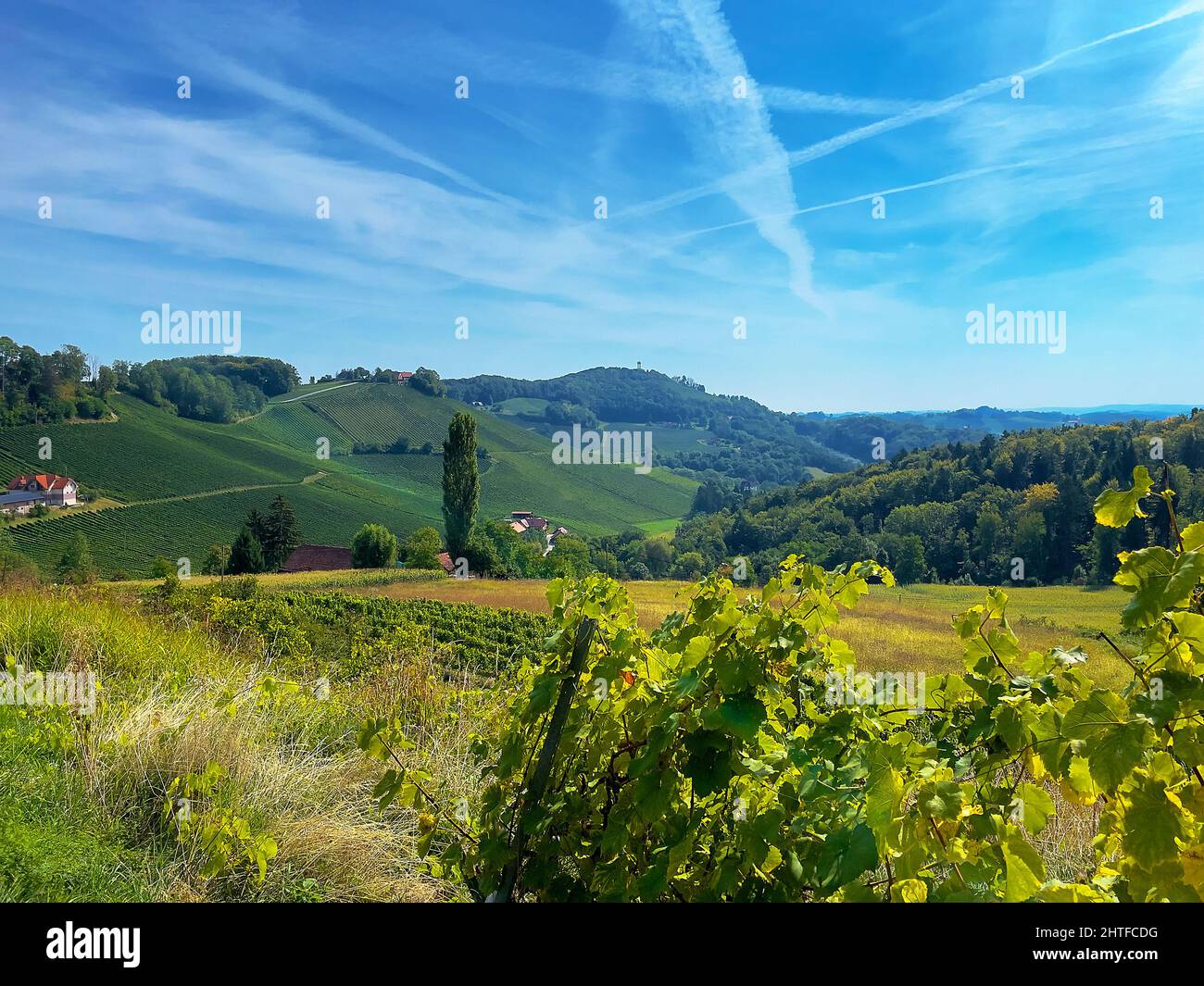 Wine-growing region of the sudost steiermark vulkanland austria Stock ...