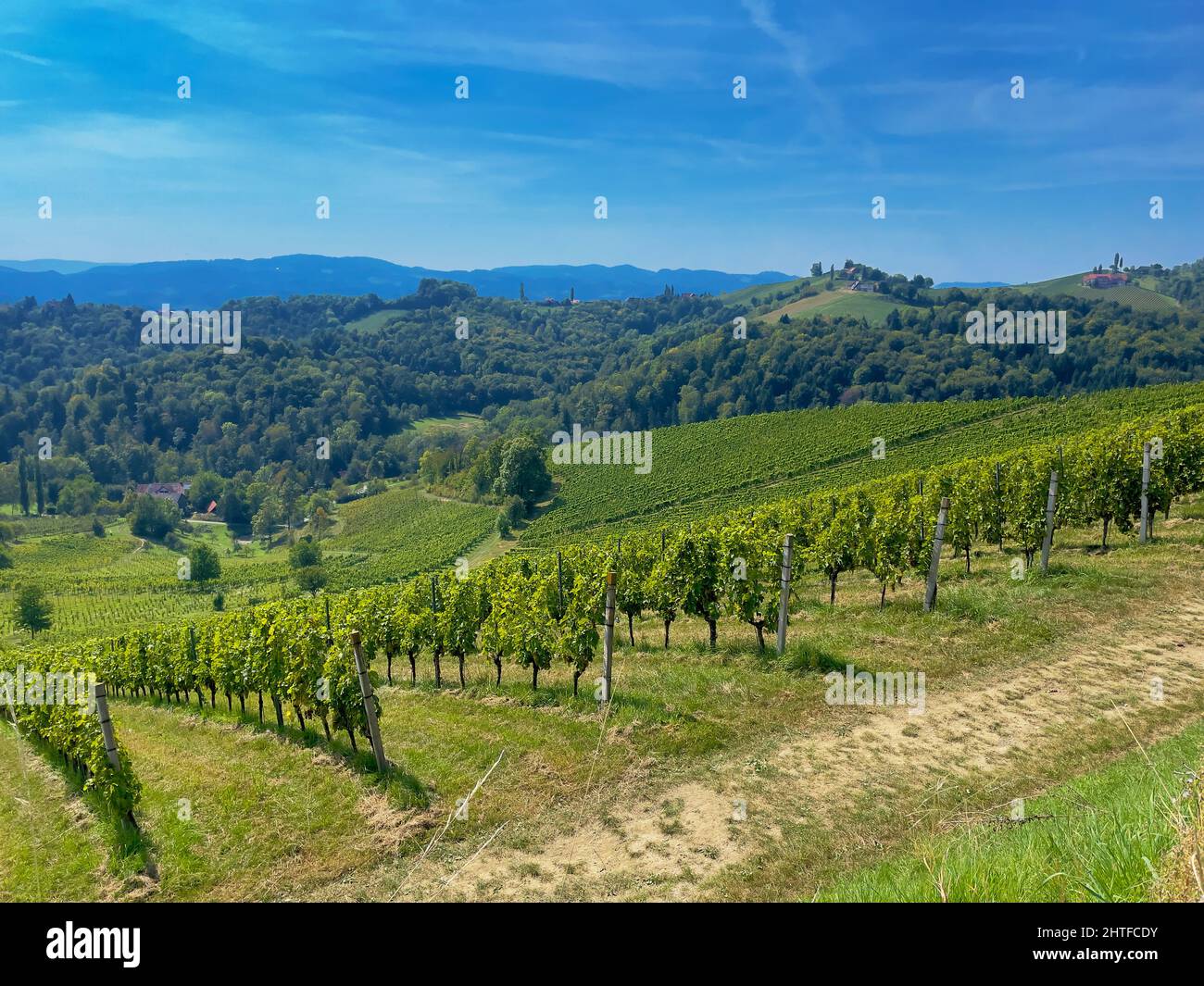 Wine-growing region of the sudost steiermark vulkanland austria Stock ...
