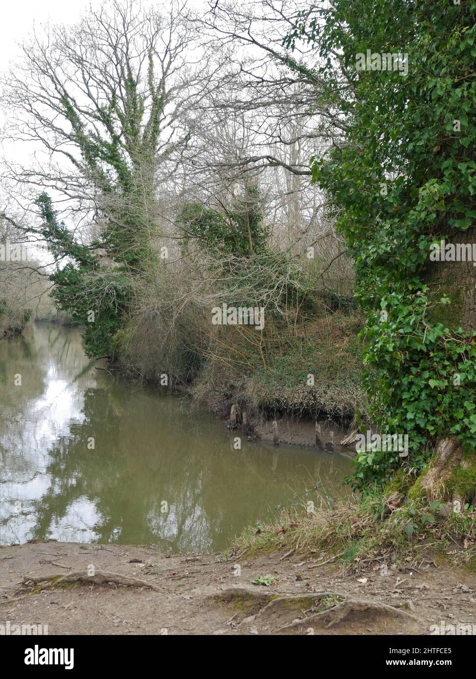 Haysden Country Park, Tonbridge Kent Stock Photo - Alamy