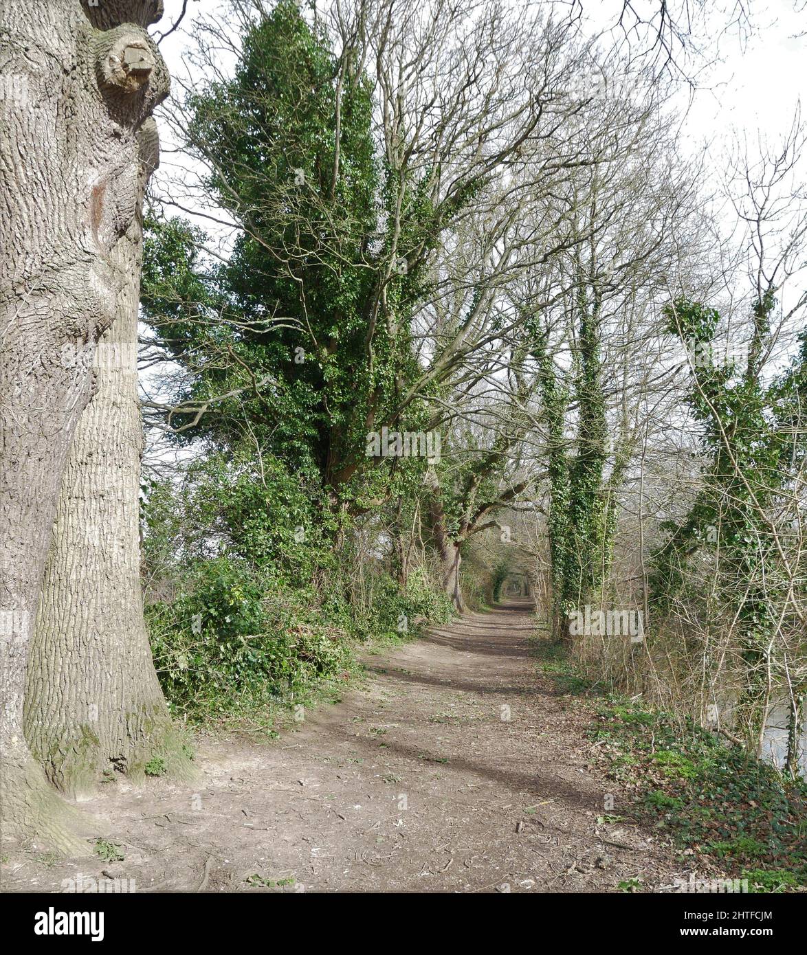 Haysden Country Park, Tonbridge Kent Stock Photo - Alamy