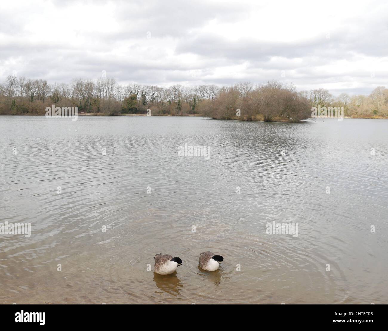 Haysden Country Park, Tonbridge Kent Stock Photo - Alamy