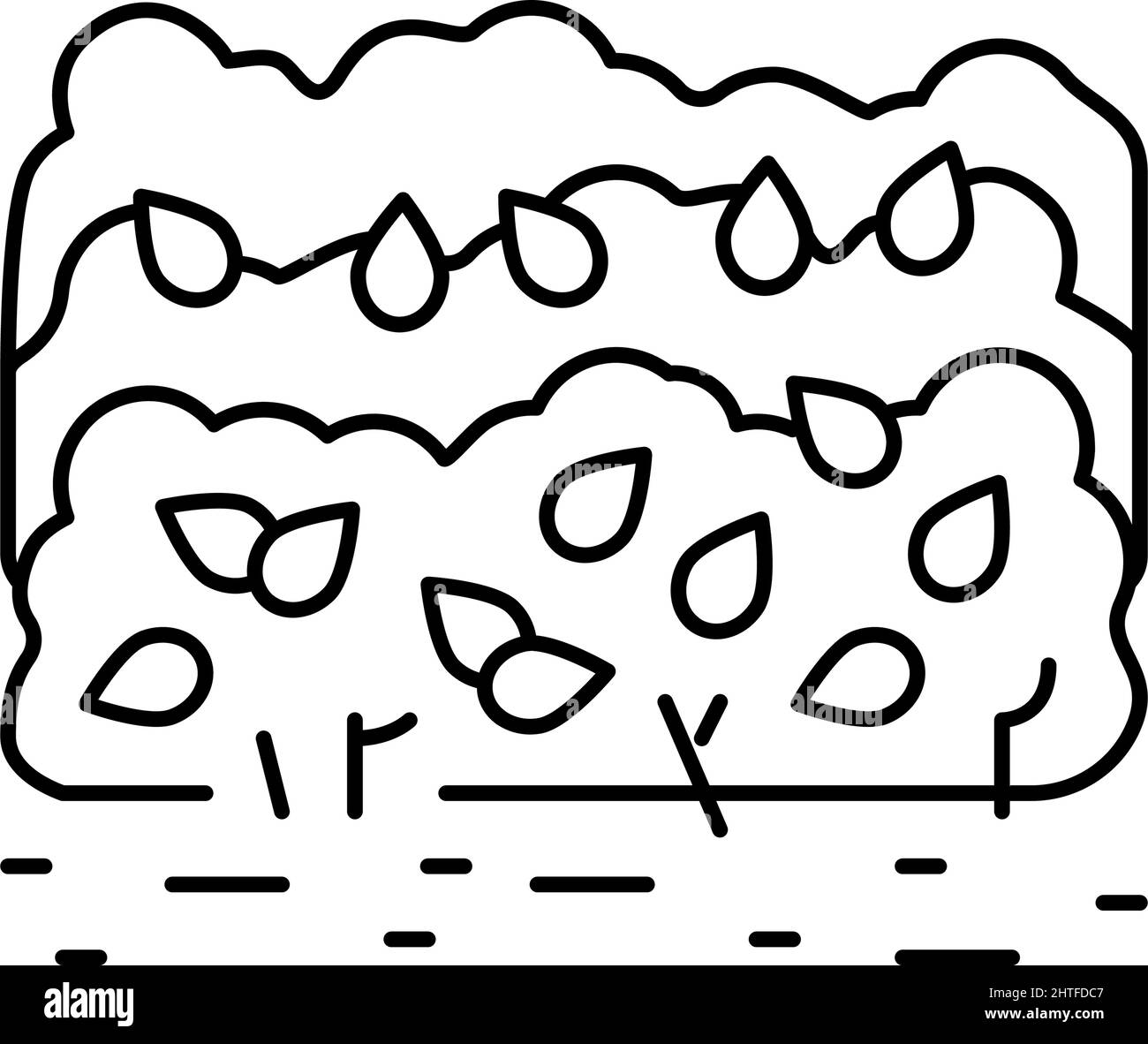 Cultivation tea leaves line Stock Vector Images - Alamy