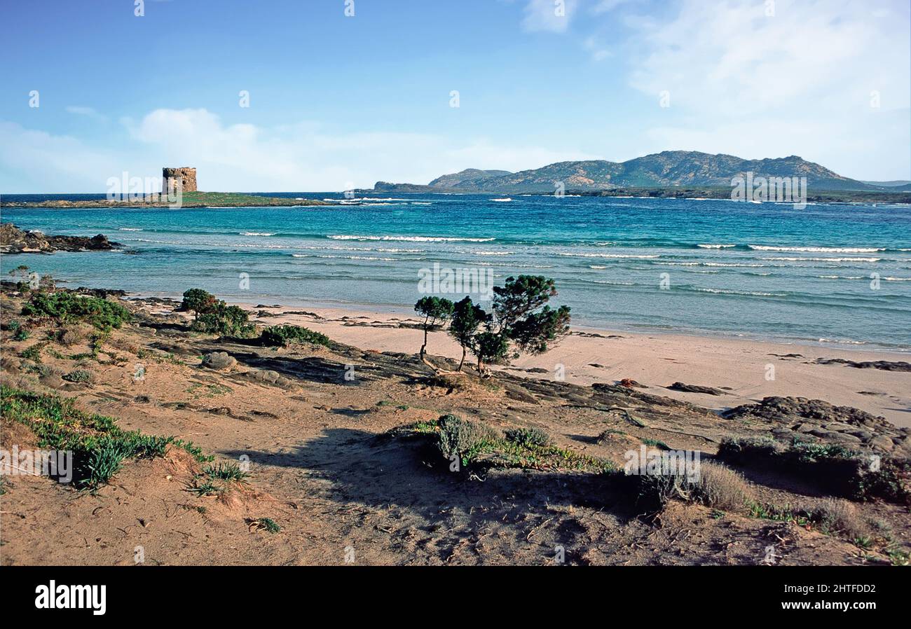 Stintino, Sardinia, Italy.Aragonese tower and La Pelosa beach Stock ...