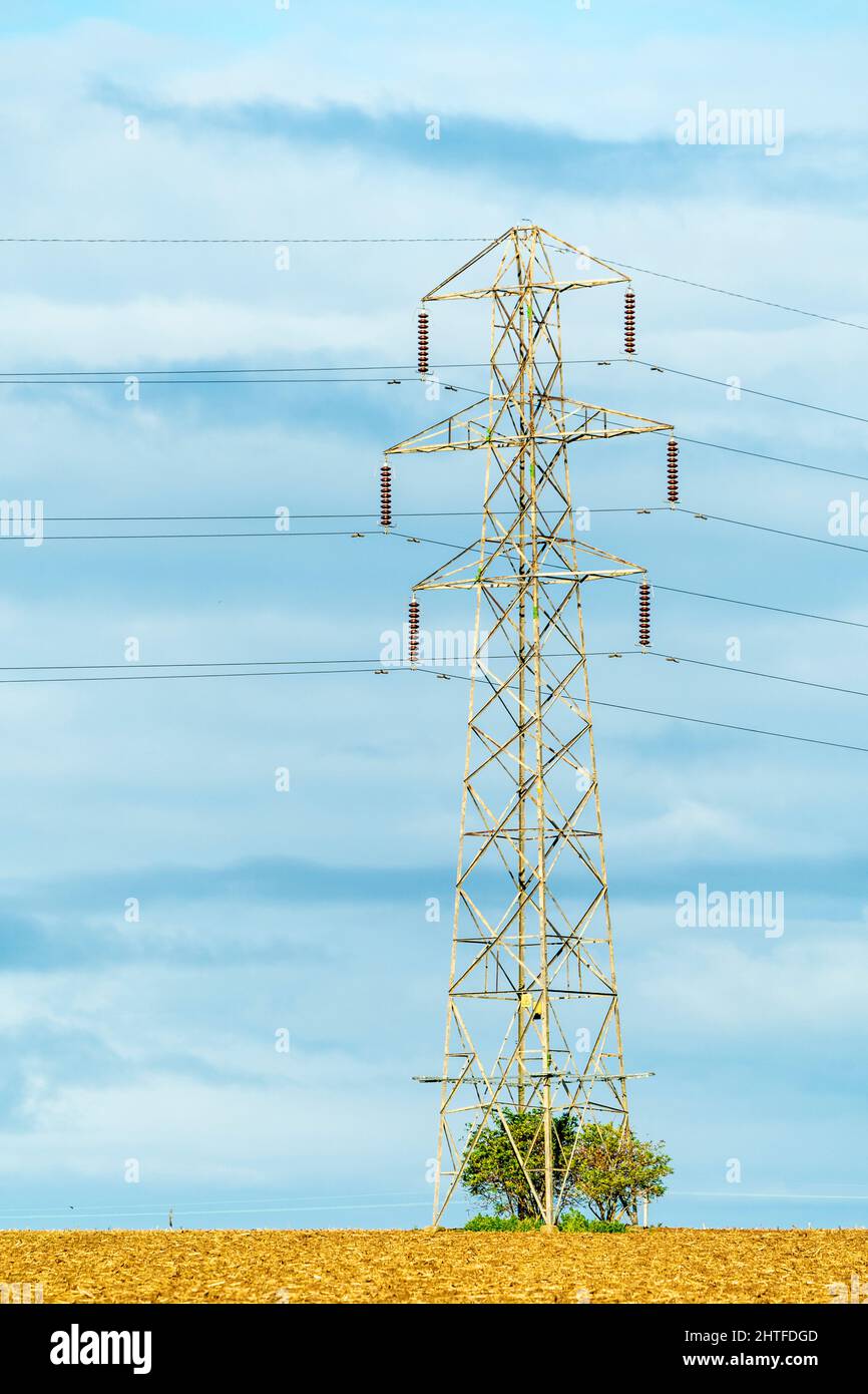 Electricity pylon of the UK National Grid standing lit by sunlight on a ...