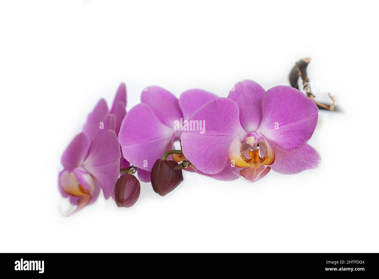 Bright day in winter Cut Out Stock Images & Pictures - Alamy