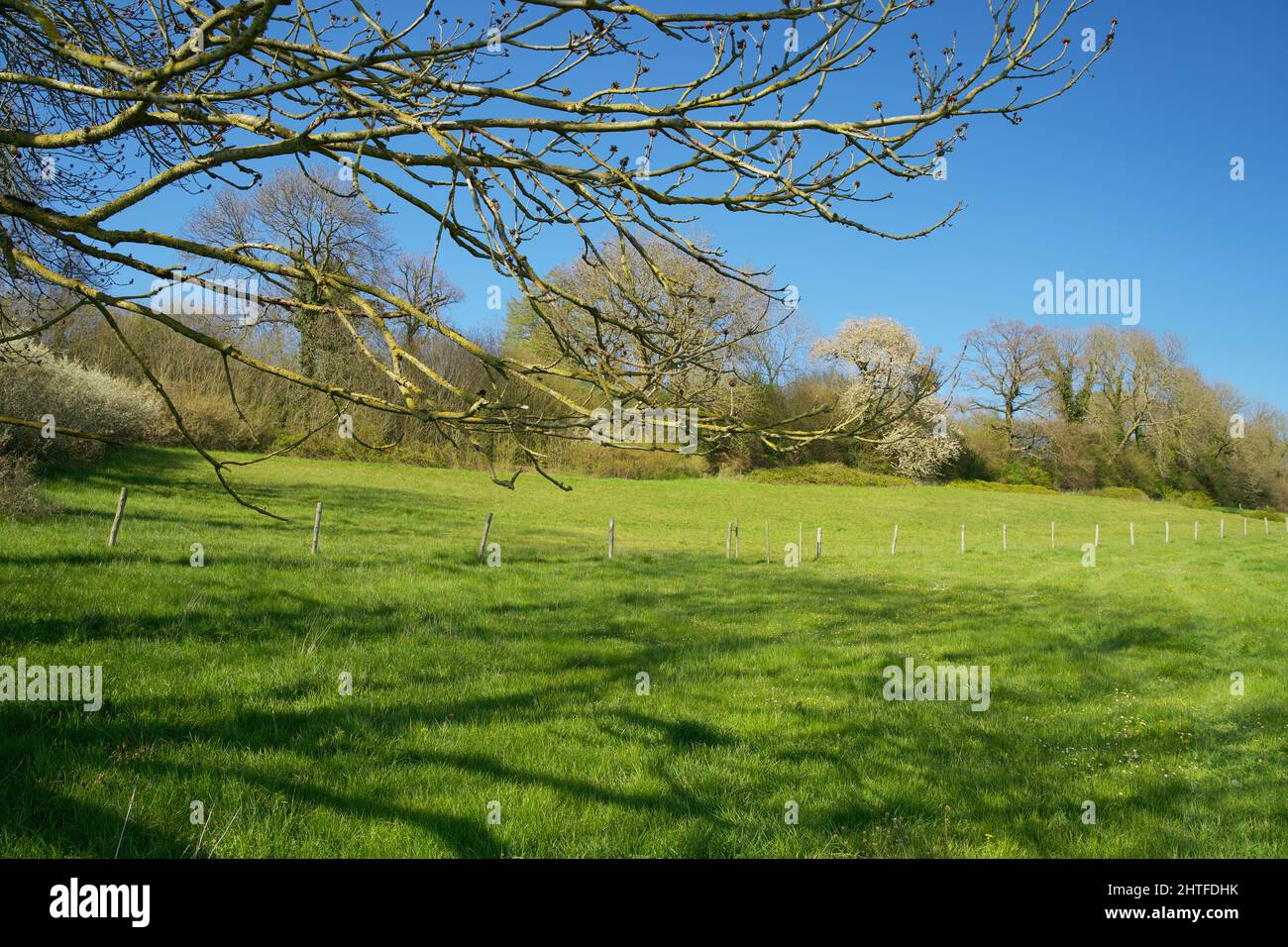 The hills of Limburg in early spring Stock Photo - Alamy