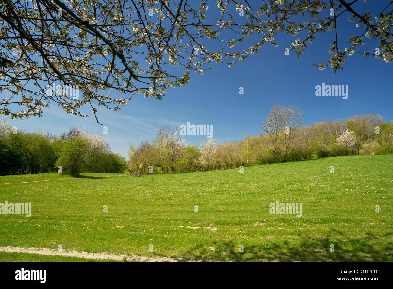 The hills of Limburg in early spring Stock Photo - Alamy